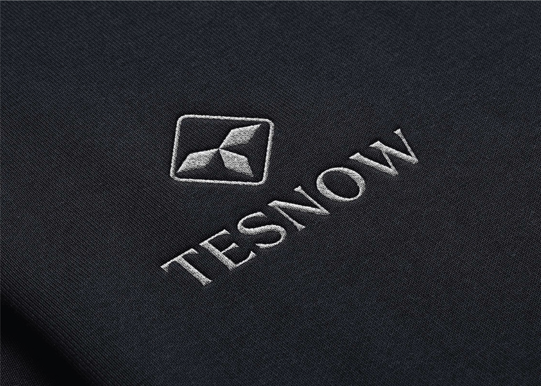 Thiết kế logo TESNOW - Adina Việt Nam